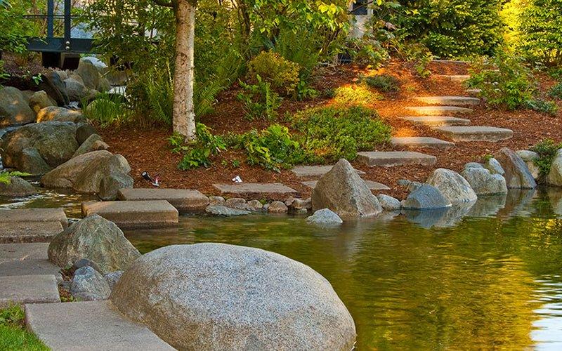 Ponds : Make a Sustainable Habitat – AllPondSolutions