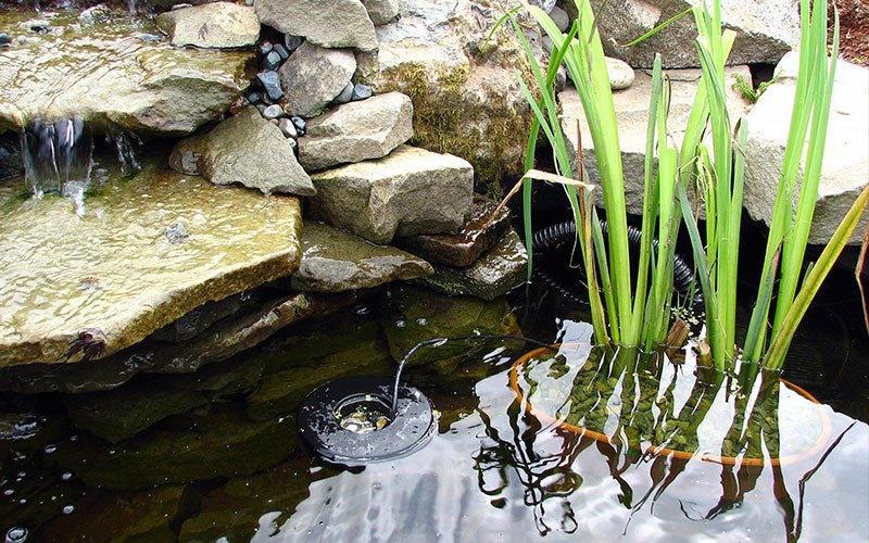 Pre-Springtime Pond Care Advice – AllPondSolutions