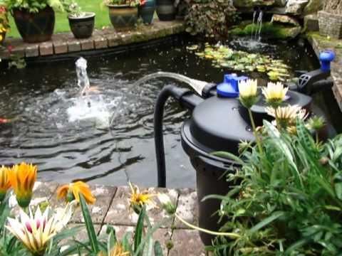 Pond Filter and Pump Kits for Sale - Free Delivery – AllPondSolutions
